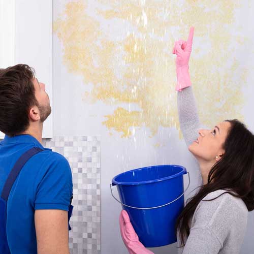 Why a Reliable Plumbing Company Is Essential | Auckland Plumbers Group